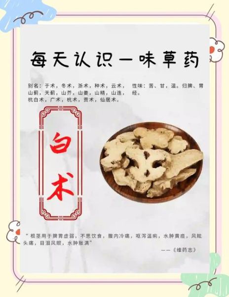 白术的功效与作用及禁忌_白术的副作用有哪些-第2张图片-山城妙识 白术的功效与作用及禁忌_白术的副作用有哪些-第2张图片-山城妙识