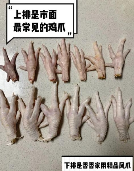 生鸡爪怎么挑选_生鸡爪图片大全哪里找-第1张图片-山城妙识 生鸡爪怎么挑选_生鸡爪图片大全哪里找-第1张图片-山城妙识