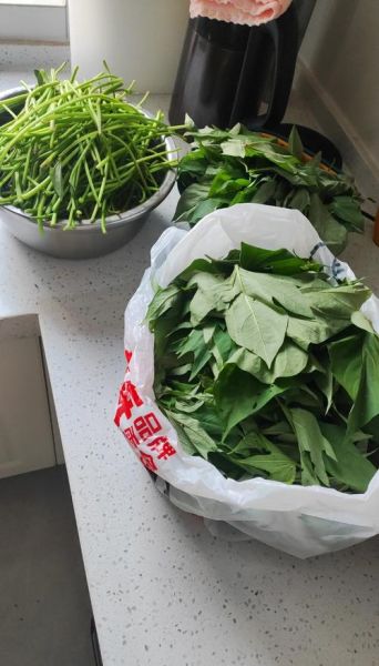 地瓜叶怎么做好吃_地瓜叶的做法大全-第3张图片-山城妙识 地瓜叶怎么做好吃_地瓜叶的做法大全-第3张图片-山城妙识