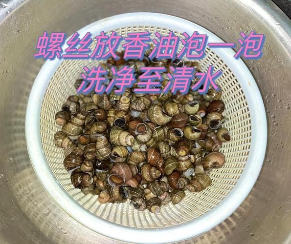 螺丝菜是什么_螺丝菜怎么吃-第1张图片-山城妙识 螺丝菜是什么_螺丝菜怎么吃-第1张图片-山城妙识