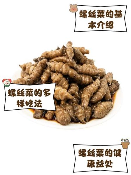 螺丝菜是什么_螺丝菜怎么吃-第3张图片-山城妙识 螺丝菜是什么_螺丝菜怎么吃-第3张图片-山城妙识