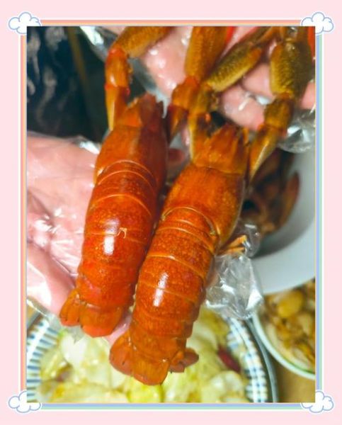 澳洲龙虾清蒸要蒸多久_清蒸澳洲龙虾怎么做-第2张图片-山城妙识 澳洲龙虾清蒸要蒸多久_清蒸澳洲龙虾怎么做-第2张图片-山城妙识