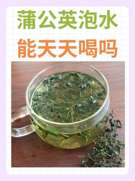 蒲公英茶能天天喝吗_蒲公英茶的功效与作用-第1张图片-山城妙识 蒲公英茶能天天喝吗_蒲公英茶的功效与作用-第1张图片-山城妙识