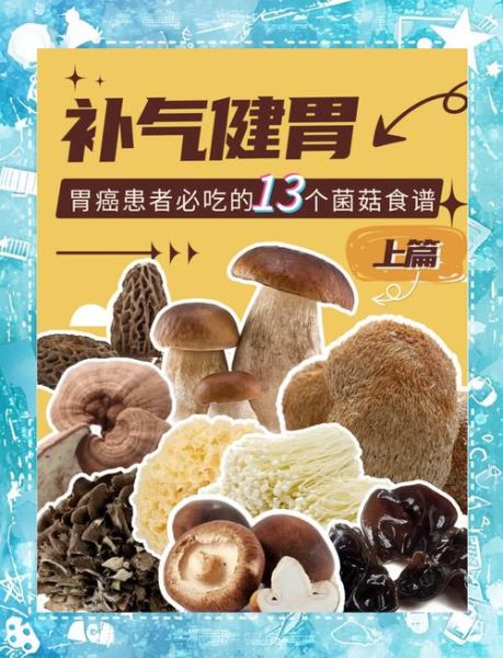 猴头菇怎么吃治胃病_猴头菇治胃病的正确吃法-第3张图片-山城妙识 猴头菇怎么吃治胃病_猴头菇治胃病的正确吃法-第3张图片-山城妙识