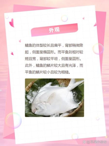 一平鱼二晶鱼三鲳鱼什么意思_一平鱼二晶鱼三鲳鱼区别-第2张图片-山城妙识 一平鱼二晶鱼三鲳鱼什么意思_一平鱼二晶鱼三鲳鱼区别-第2张图片-山城妙识