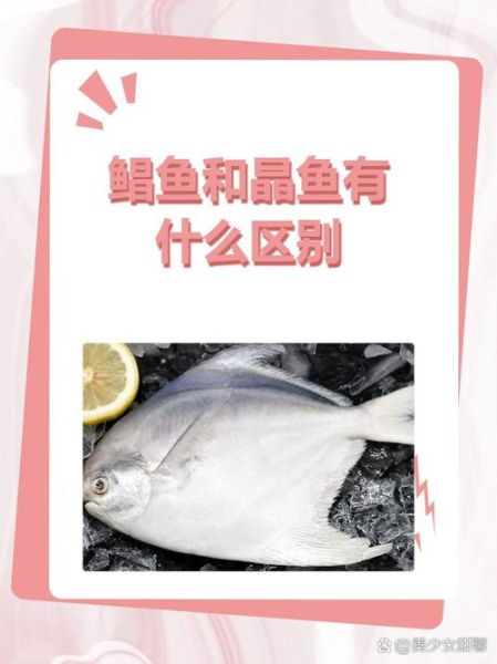 一平鱼二晶鱼三鲳鱼什么意思_一平鱼二晶鱼三鲳鱼区别-第1张图片-山城妙识 一平鱼二晶鱼三鲳鱼什么意思_一平鱼二晶鱼三鲳鱼区别-第1张图片-山城妙识