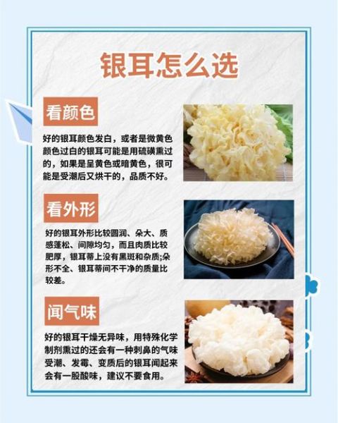 白木耳和银耳一样吗_银耳和白木耳的区别-第1张图片-山城妙识