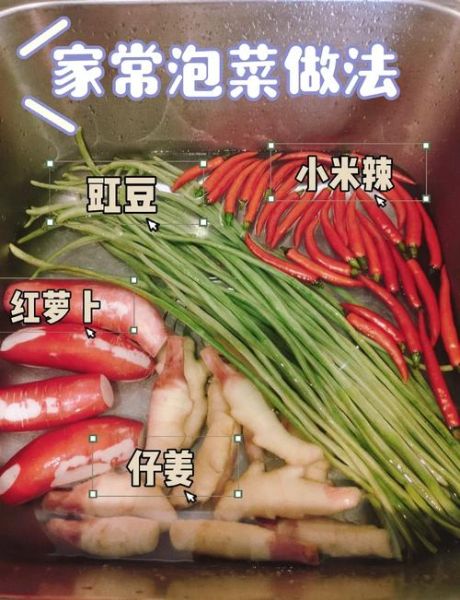 怎样腌四川泡菜_四川泡菜怎么做好吃-第2张图片-山城妙识 怎样腌四川泡菜_四川泡菜怎么做好吃-第2张图片-山城妙识