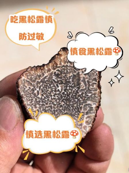 黑松露什么人不能吃_黑松露禁忌人群有哪些-第1张图片-山城妙识 黑松露什么人不能吃_黑松露禁忌人群有哪些-第1张图片-山城妙识