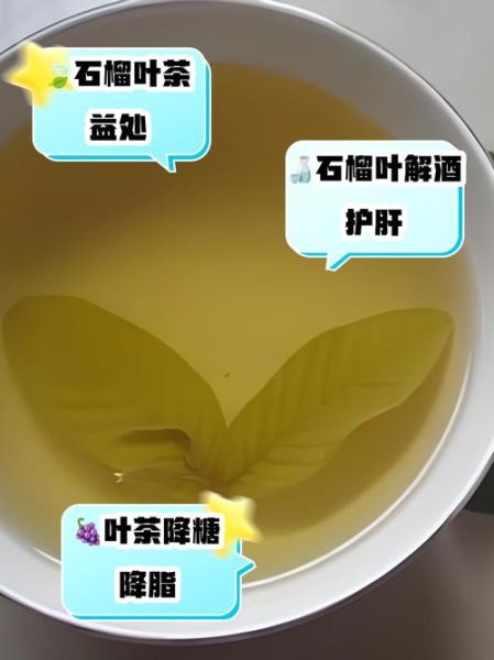 番石榴叶茶能降血糖吗_番石榴叶茶怎么泡-第1张图片-山城妙识