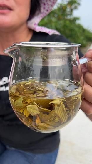 番石榴叶茶能降血糖吗_番石榴叶茶怎么泡-第3张图片-山城妙识