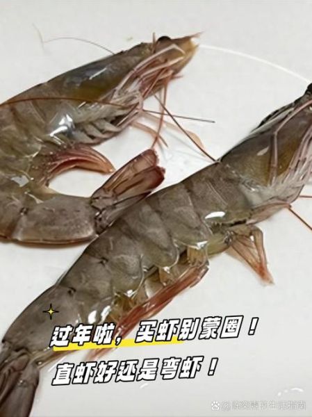 早上买的虾中午死了可以吃吗_死虾食用安全指南-第1张图片-山城妙识