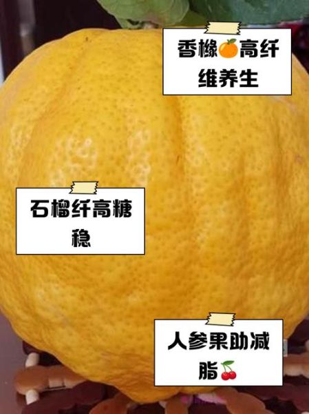 粗纤维水果有哪些_高纤维水果排行榜-第3张图片-山城妙识