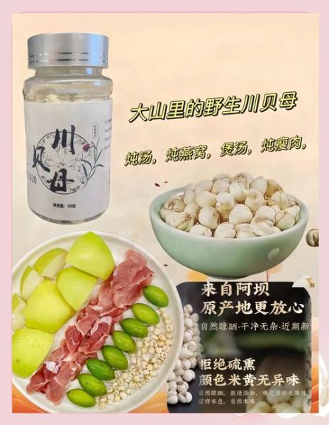 贝母怎么吃_川贝母的正确吃法-第1张图片-山城妙识 贝母怎么吃_川贝母的正确吃法-第1张图片-山城妙识