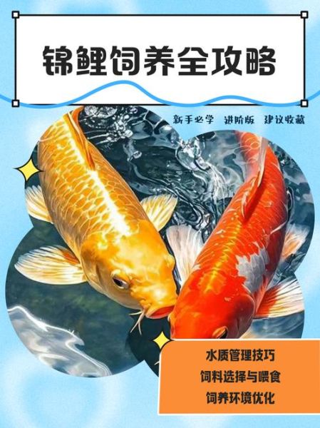 锦鲤鱼怎么养长得快_锦鲤鱼吃什么长得快-第3张图片-山城妙识 锦鲤鱼怎么养长得快_锦鲤鱼吃什么长得快-第3张图片-山城妙识