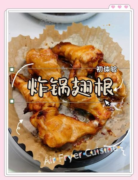 空气炸锅炸鸡翅根怎么做_鸡翅根用空气炸锅多久能熟-第2张图片-山城妙识
