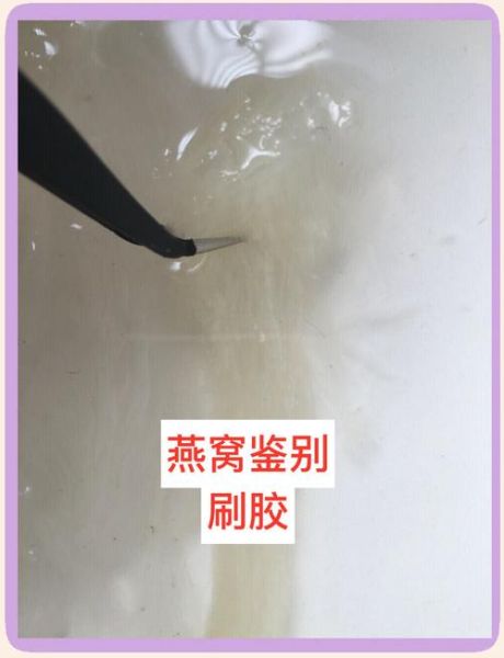 燕窝图片大全大图真实_燕窝真假怎么辨别-第2张图片-山城妙识