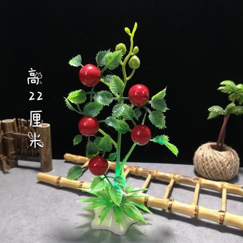 冷菜围边花草图片_哪些植物适合摆盘-第3张图片-山城妙识 冷菜围边花草图片_哪些植物适合摆盘-第3张图片-山城妙识