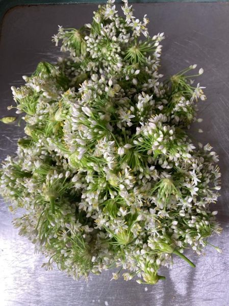 怎么腌韭菜花好吃_韭菜花腌制配方-第2张图片-山城妙识 怎么腌韭菜花好吃_韭菜花腌制配方-第2张图片-山城妙识