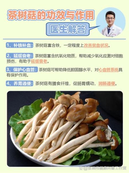 茶树菇的功效与作用_茶树菇的禁忌有哪些-第2张图片-山城妙识 茶树菇的功效与作用_茶树菇的禁忌有哪些-第2张图片-山城妙识