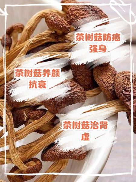 茶树菇的功效与作用_茶树菇的禁忌有哪些-第1张图片-山城妙识 茶树菇的功效与作用_茶树菇的禁忌有哪些-第1张图片-山城妙识