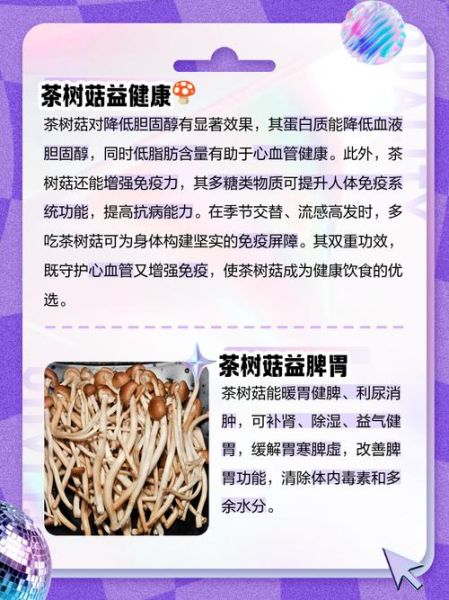 茶树菇的功效与作用_茶树菇的禁忌有哪些-第3张图片-山城妙识 茶树菇的功效与作用_茶树菇的禁忌有哪些-第3张图片-山城妙识