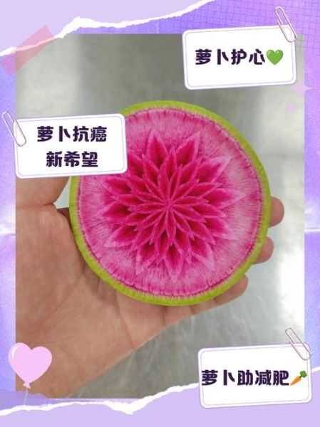 心里美萝卜什么时候种_心里美萝卜几月份播种-第3张图片-山城妙识 心里美萝卜什么时候种_心里美萝卜几月份播种-第3张图片-山城妙识