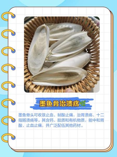 墨鱼骨多少钱一斤_墨鱼骨价格行情-第2张图片-山城妙识 墨鱼骨多少钱一斤_墨鱼骨价格行情-第2张图片-山城妙识