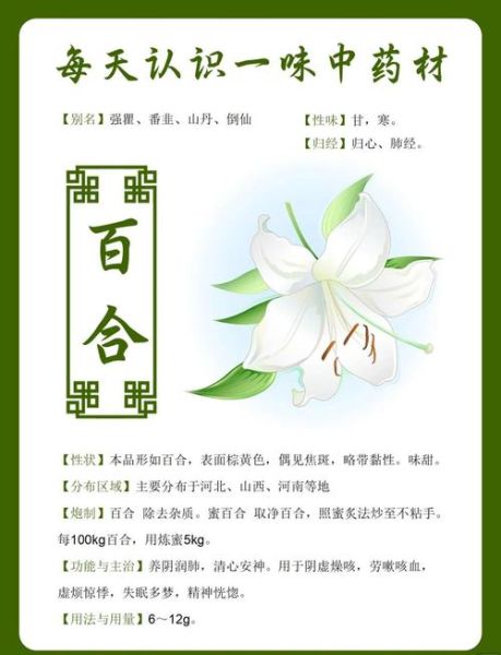 百合有什么功效与作用_百合怎么吃效果最好-第1张图片-山城妙识 百合有什么功效与作用_百合怎么吃效果最好-第1张图片-山城妙识