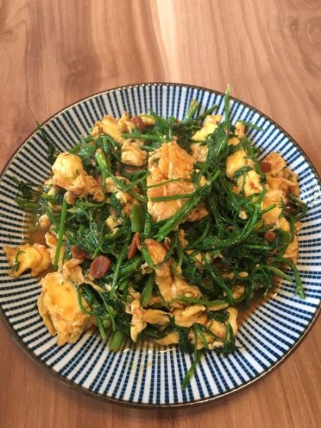 茴香苗怎么炒好吃_茴香苗炒蛋做法-第3张图片-山城妙识