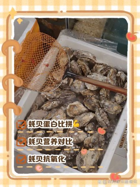 生蚝和扇贝的区别_如何挑选新鲜生蚝扇贝-第2张图片-山城妙识 生蚝和扇贝的区别_如何挑选新鲜生蚝扇贝-第2张图片-山城妙识
