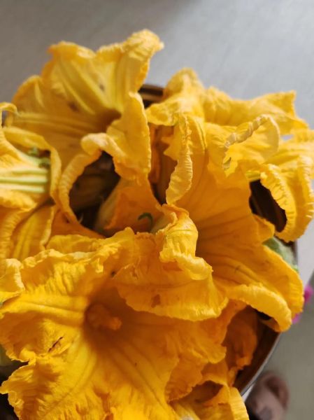 南瓜花怎么做好吃_南瓜花做法大全-第2张图片-山城妙识