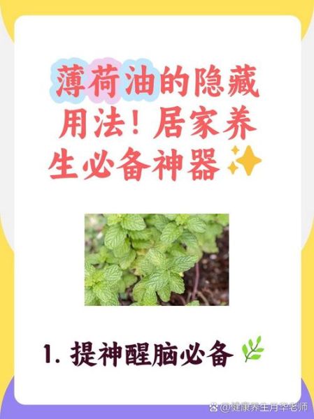 薄荷油的功效与作用_薄荷油怎么用效果最好-第3张图片-山城妙识