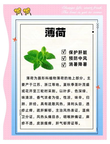 薄荷油的功效与作用_薄荷油怎么用效果最好-第2张图片-山城妙识