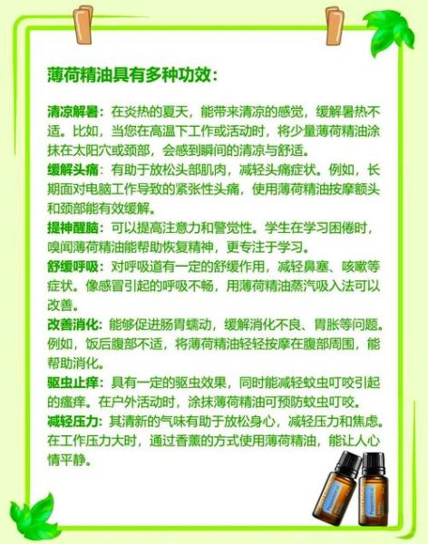 薄荷油的功效与作用_薄荷油怎么用效果最好-第1张图片-山城妙识