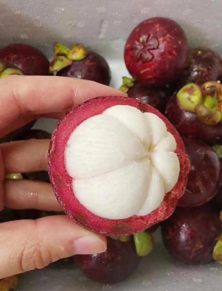 山竹产地哪里的最好_泰国山竹为什么更甜-第1张图片-山城妙识 山竹产地哪里的最好_泰国山竹为什么更甜-第1张图片-山城妙识