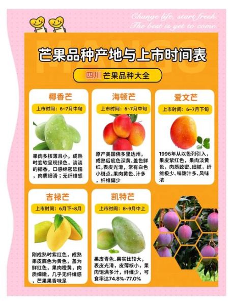 一个大芒果一般多少钱_一斤芒果价格是多少-第2张图片-山城妙识 一个大芒果一般多少钱_一斤芒果价格是多少-第2张图片-山城妙识