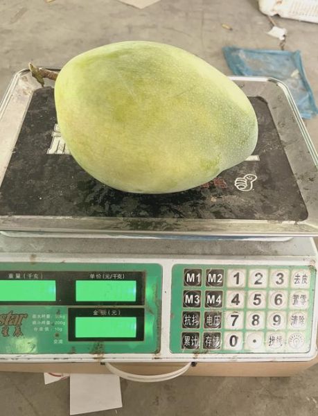 一个大芒果一般多少钱_一斤芒果价格是多少-第3张图片-山城妙识 一个大芒果一般多少钱_一斤芒果价格是多少-第3张图片-山城妙识