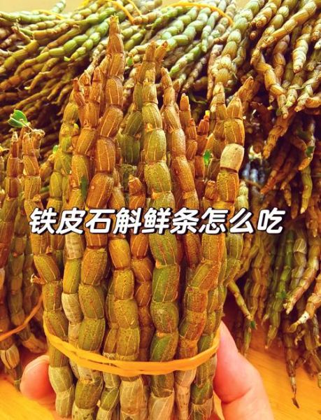 铁皮石斛的正确吃法_铁皮石斛一天吃多少克-第1张图片-山城妙识 铁皮石斛的正确吃法_铁皮石斛一天吃多少克-第1张图片-山城妙识