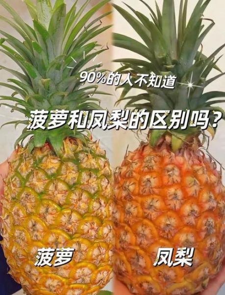 无眼菠萝和凤梨的区别_哪个更甜-第3张图片-山城妙识 无眼菠萝和凤梨的区别_哪个更甜-第3张图片-山城妙识
