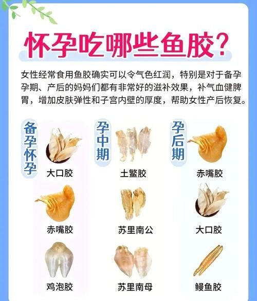 孕妇可以吃鱼胶吗_鱼胶的功效与作用孕妇-第1张图片-山城妙识 孕妇可以吃鱼胶吗_鱼胶的功效与作用孕妇-第1张图片-山城妙识