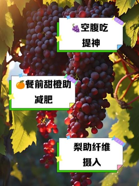 什么时候吃水果最好_空腹吃还是饭后吃-第3张图片-山城妙识 什么时候吃水果最好_空腹吃还是饭后吃-第3张图片-山城妙识