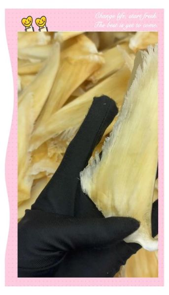 鱼翅分几个种类_鱼翅种类图片怎么区分-第2张图片-山城妙识 鱼翅分几个种类_鱼翅种类图片怎么区分-第2张图片-山城妙识