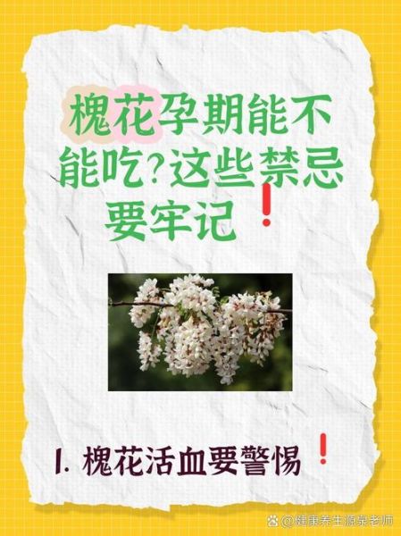 孕妇中期能吃槐花吗_槐花对胎儿影响-第1张图片-山城妙识