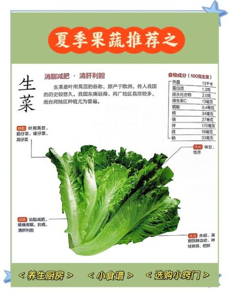 生菜怎么做减肥又好吃_生菜减肥食谱推荐-第1张图片-山城妙识 生菜怎么做减肥又好吃_生菜减肥食谱推荐-第1张图片-山城妙识
