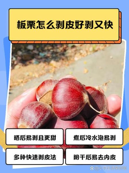 板栗怎么剥才好剥_生板栗快速去皮方法-第2张图片-山城妙识 板栗怎么剥才好剥_生板栗快速去皮方法-第2张图片-山城妙识