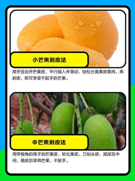 芒果怎么剥皮不脏手_芒果剥皮技巧-第3张图片-山城妙识