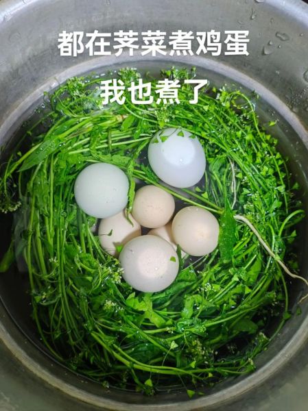 荠菜煮鸡蛋瑶柱多久_荠菜鸡蛋瑶柱汤煮多久-第2张图片-山城妙识