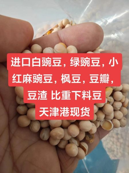 青豌豆和白豌豆的区别_哪个营养更高-第2张图片-山城妙识