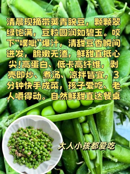 青豌豆和白豌豆的区别_哪个营养更高-第3张图片-山城妙识